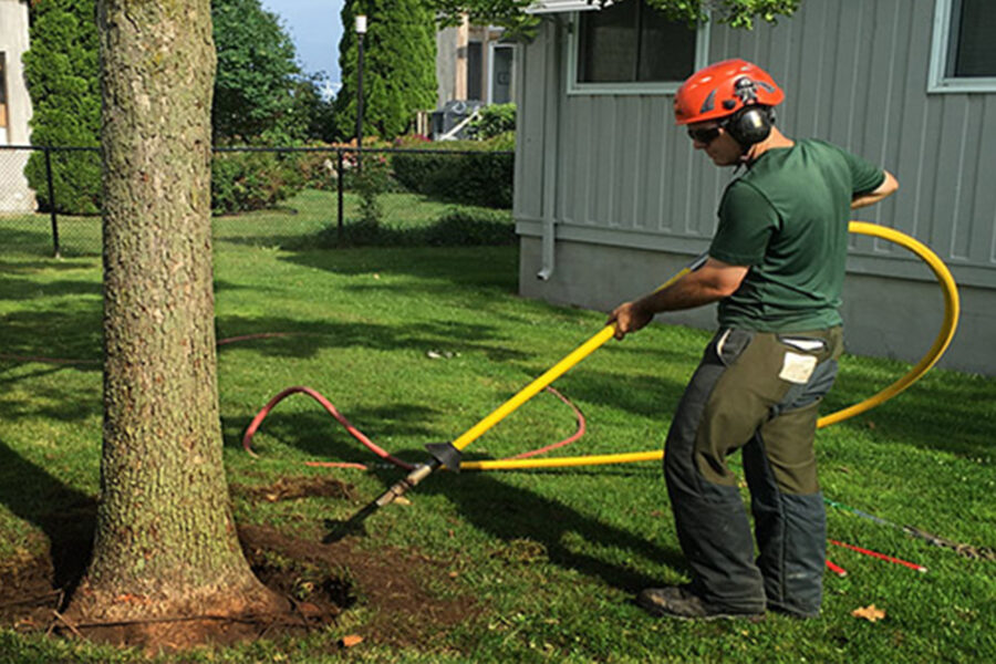 Air Spading - Chatham Tree Services
