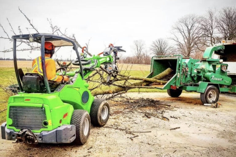 Brush Chipping - Chatham Tree Services