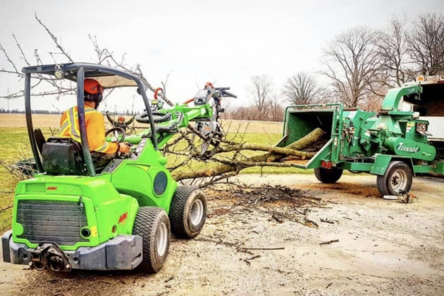 Brush Chipping - Chatham Tree Services