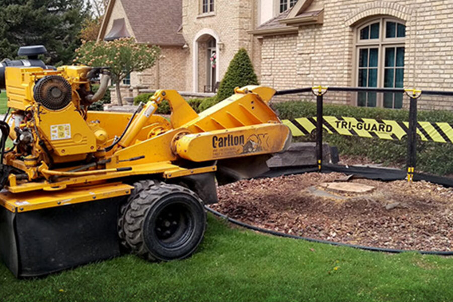 Stump Grinding - Chatham Tree Services