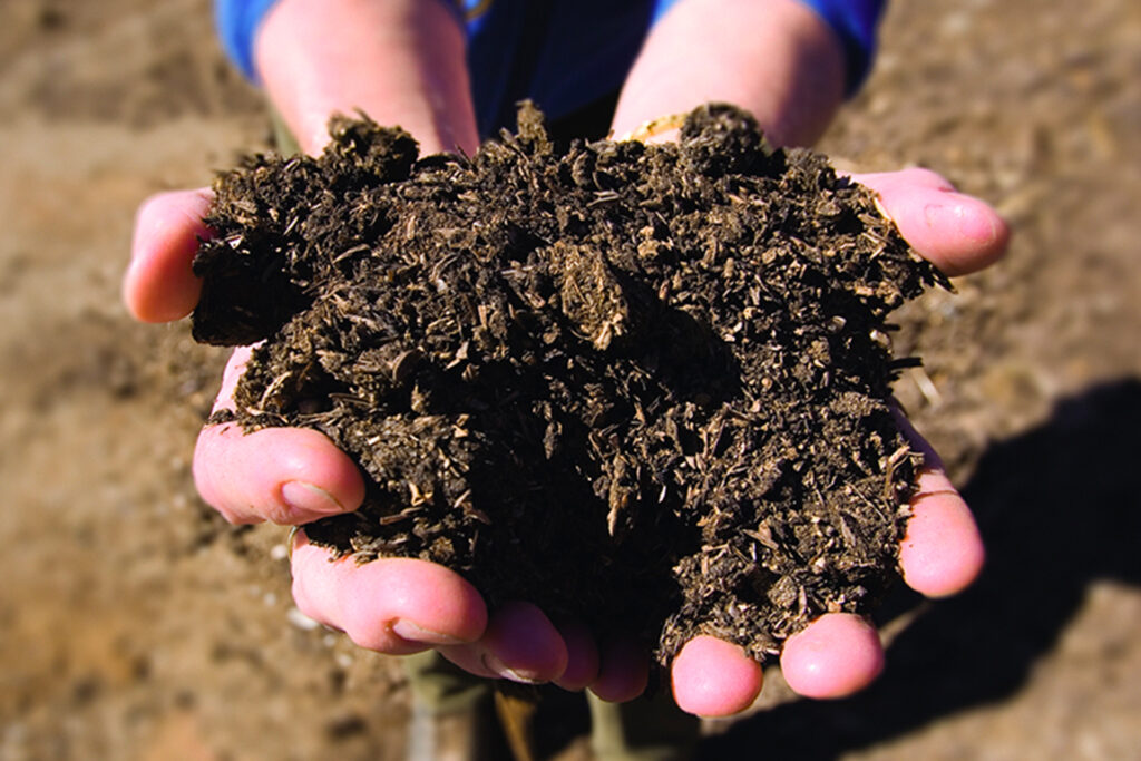 Tree Fertilization and Soil Amendment - Chatham Tree Services