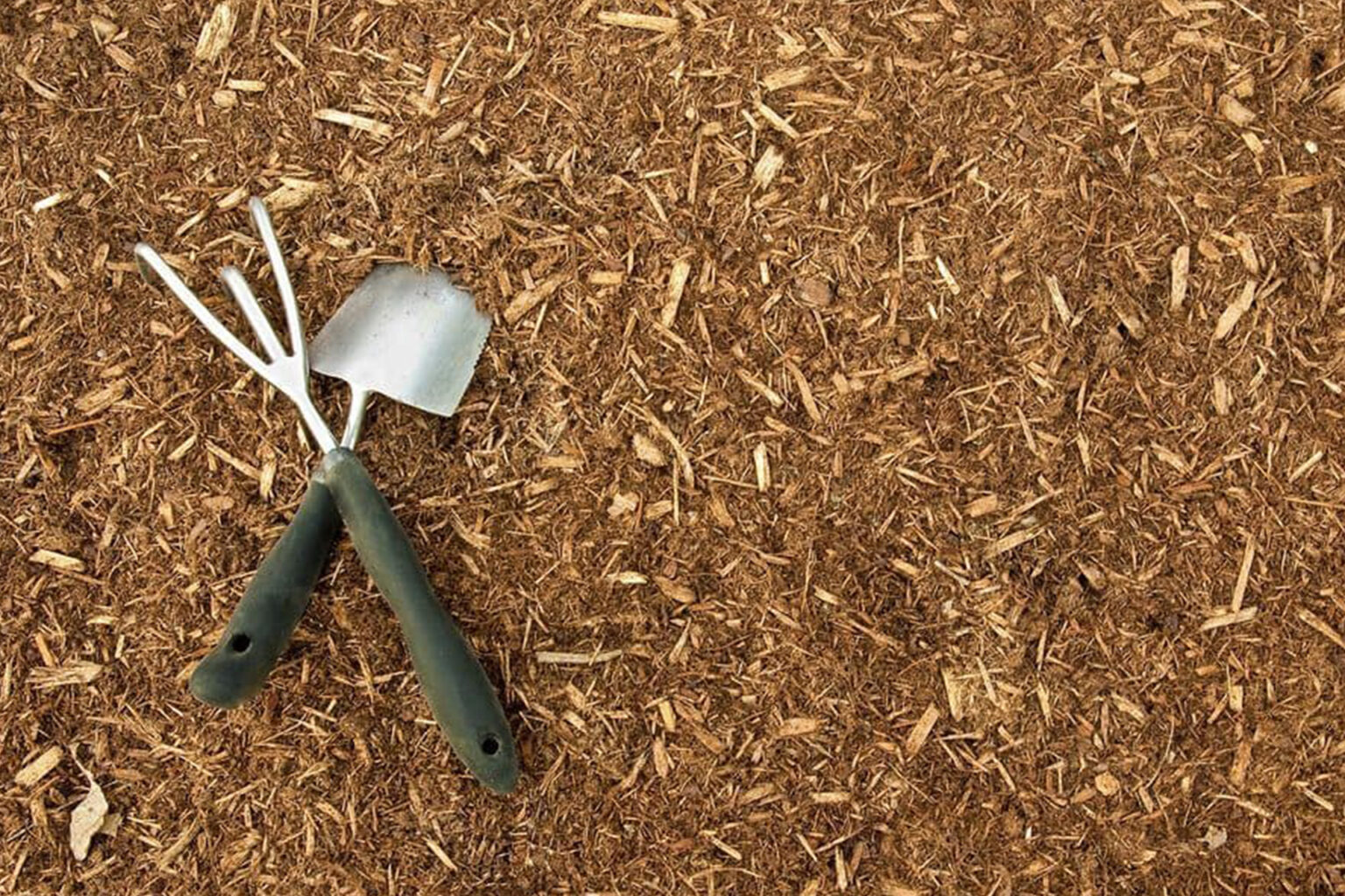 Tree Mulching - Chatham Tree Services